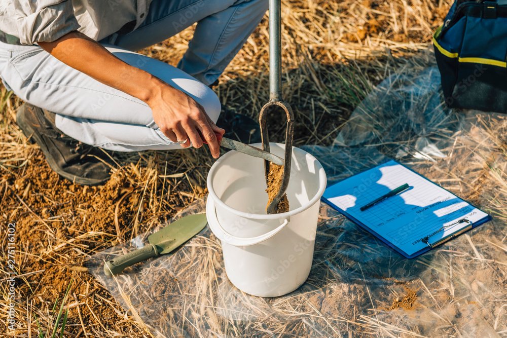 Soil Sampling. Woman Agronomist Taking Sample With Soil Probe Sampler ...
