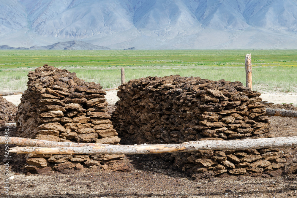 Dry manure. It use as fuel for cooking and warming. Livestock farm in ...
