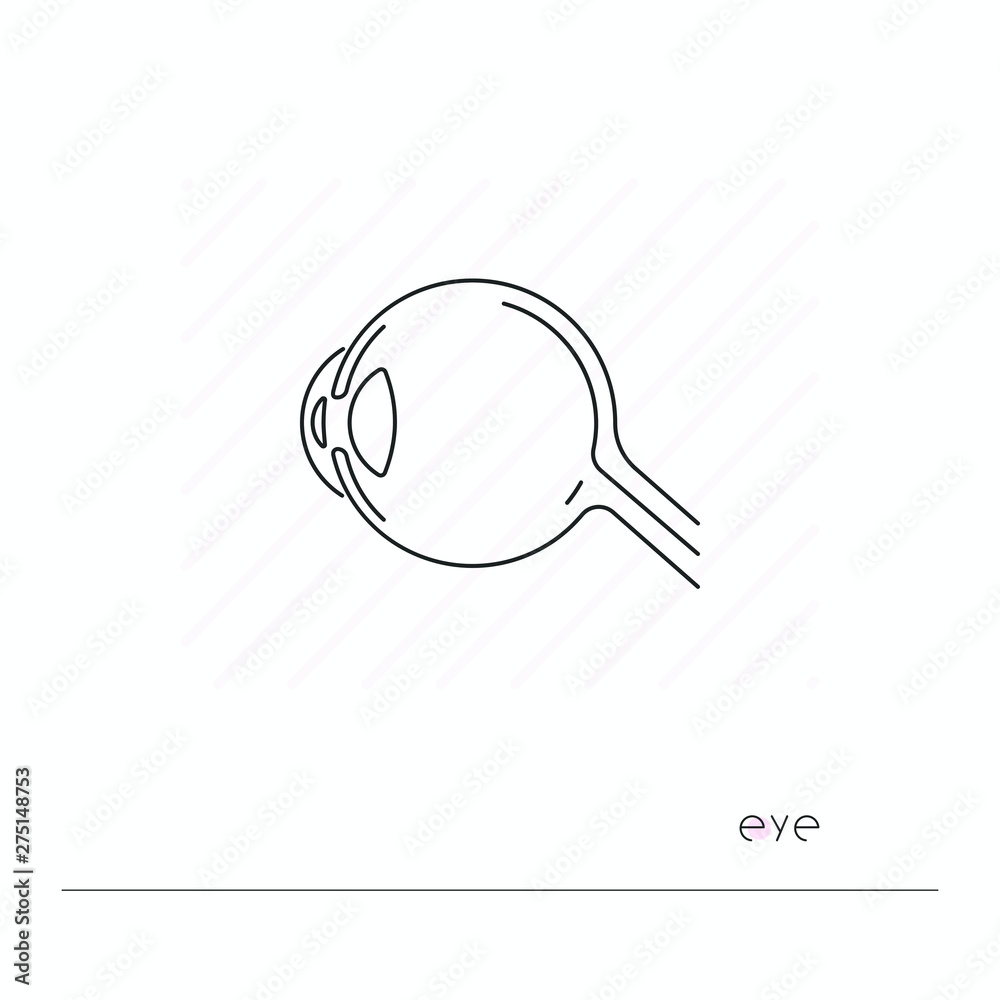 Eye icon isolated. Single thin line symbol of eye anatomy. Human body ...