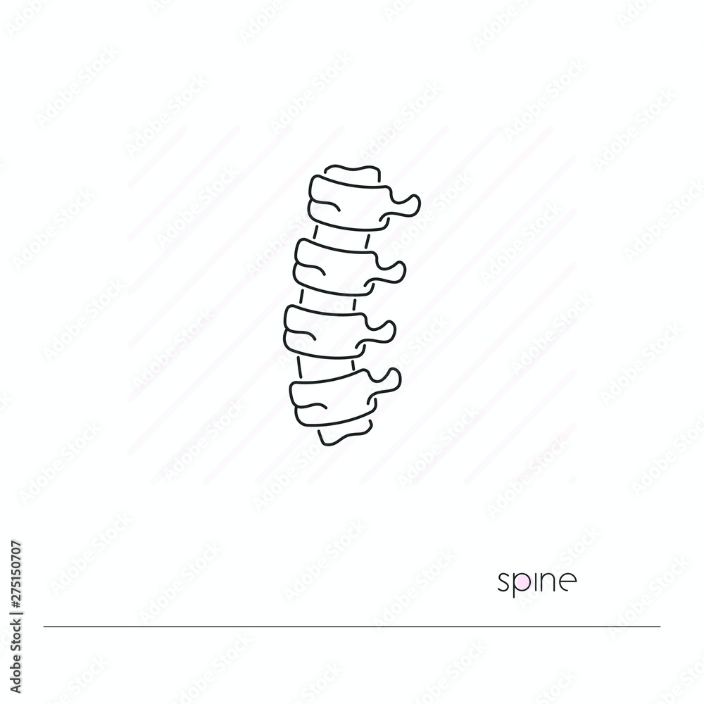 Spine icon isolated. Single thin line symbol of backbone. Human body ...