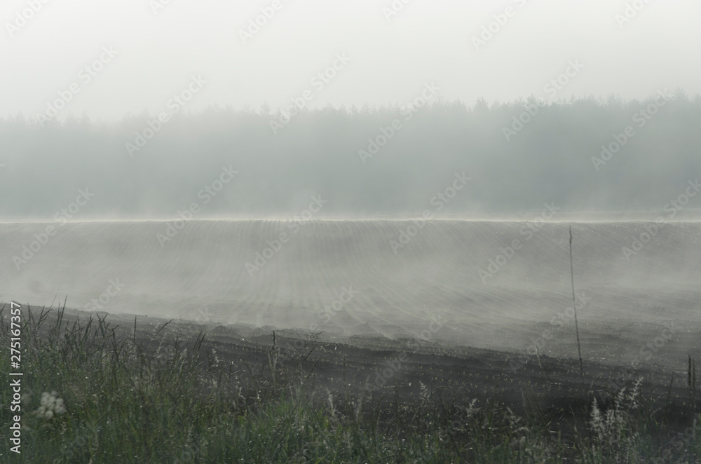 Foggy agricultural fields, lonely tree. Land is left for winter as ...
