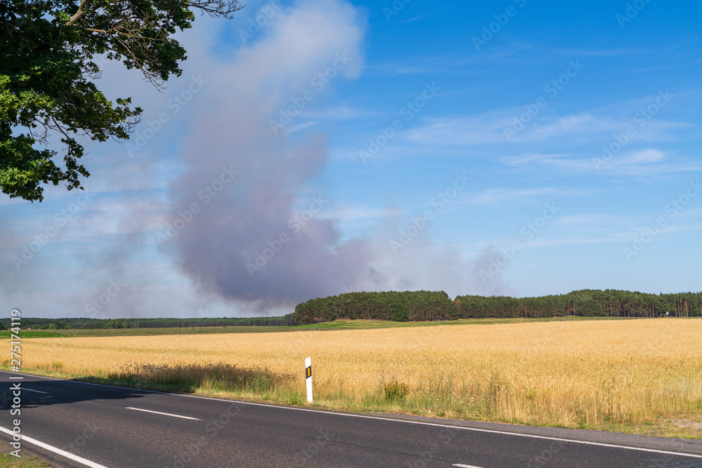Waldbrand in Deutschland Stock Photo | Adobe Stock