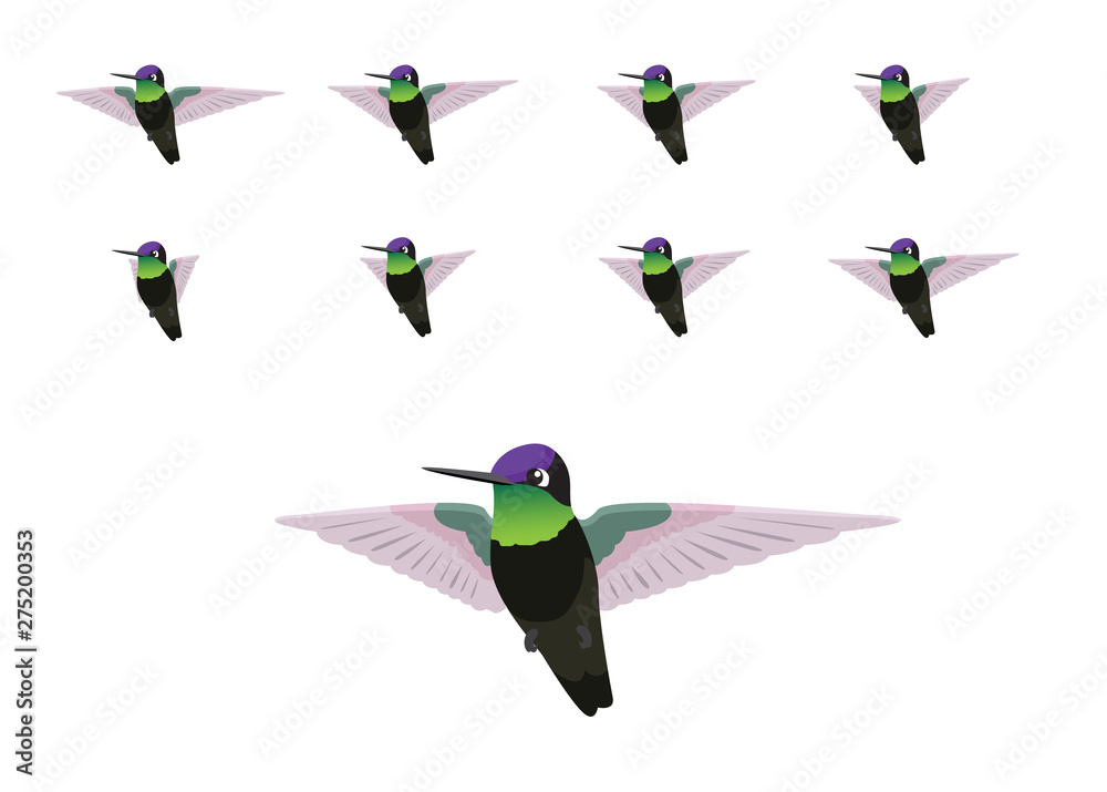 Cute Hummingbird Flying Frame Animation Vector Stock Vector | Adobe Stock