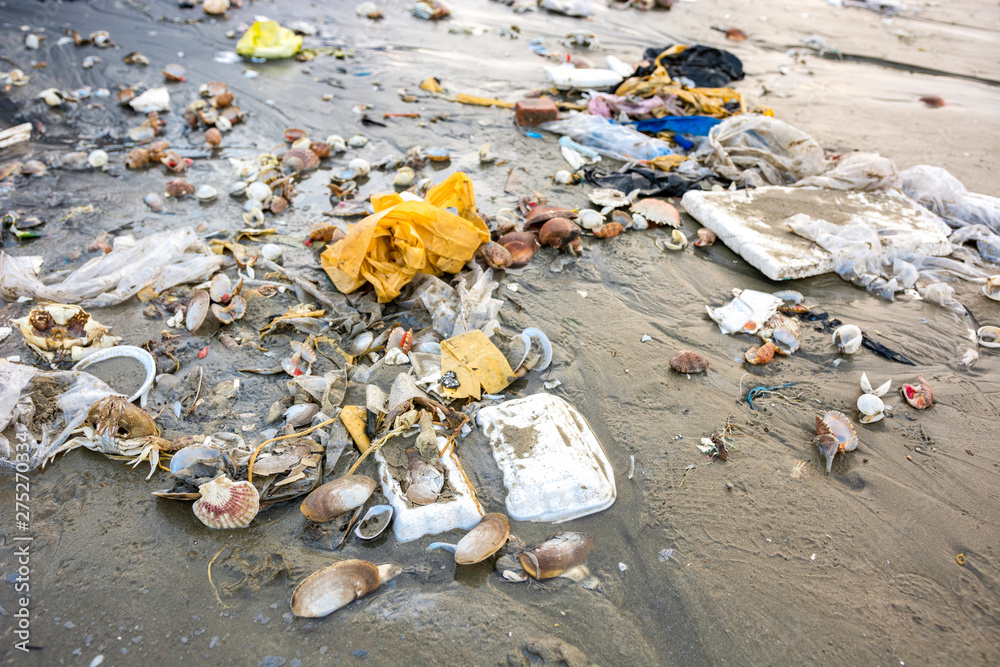 polluted beach, plastic trash, garbage on the beach, vietnam Stock ...