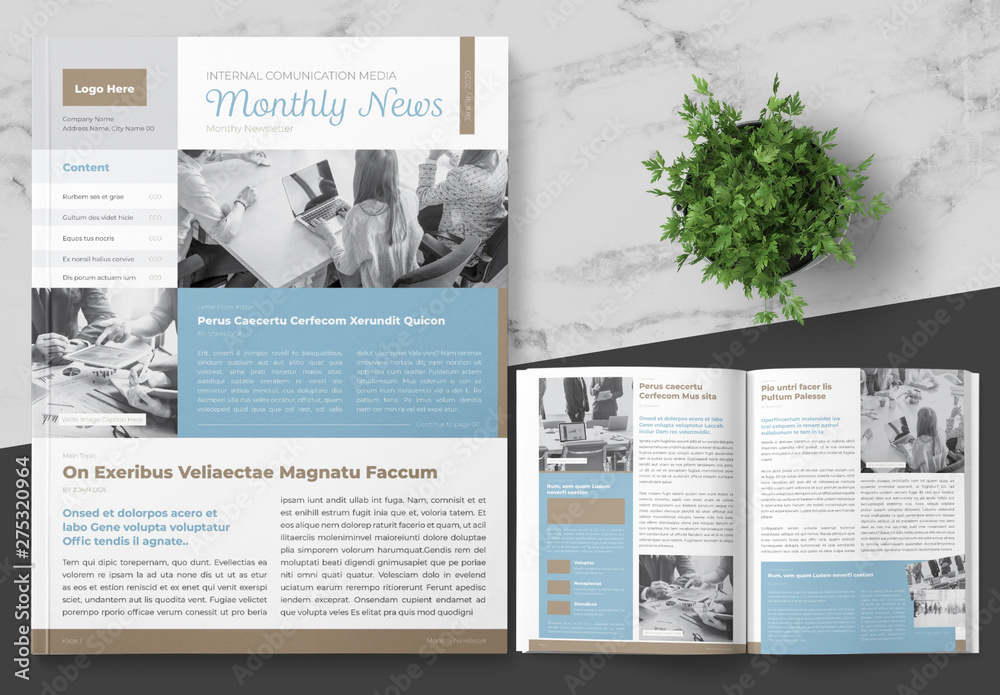 Business Newsletter Layout with Blue and Brown Accents Stock Template ...