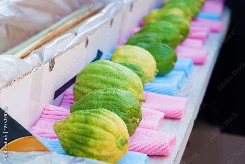 Jewish festival of Sukkot. Traditional market before the holiday of ...