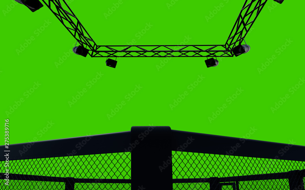 3D render MMA arena on green screen. MMA octagon cages. Stock ...