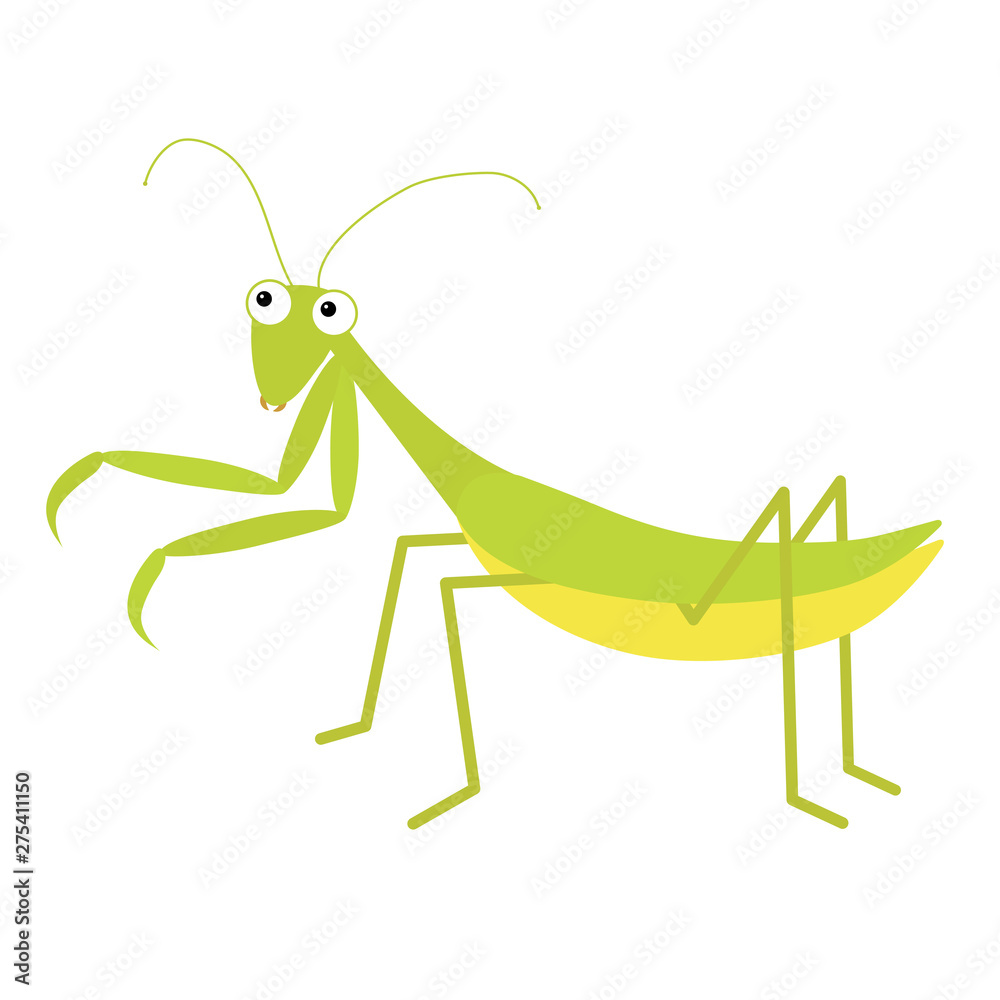 Mantis icon. Cute cartoon kawaii funny character. Green insect isolated ...