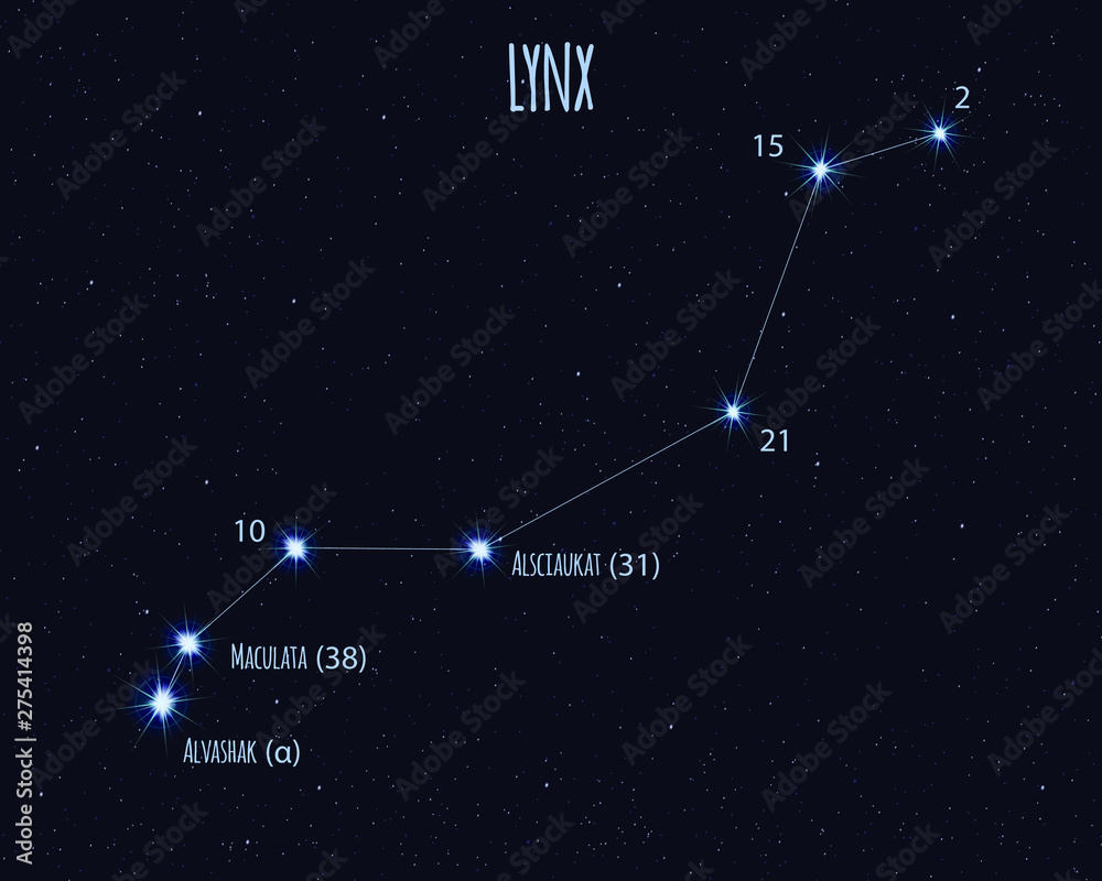 Lynx constellation, vector illustration with the names of basic stars ...