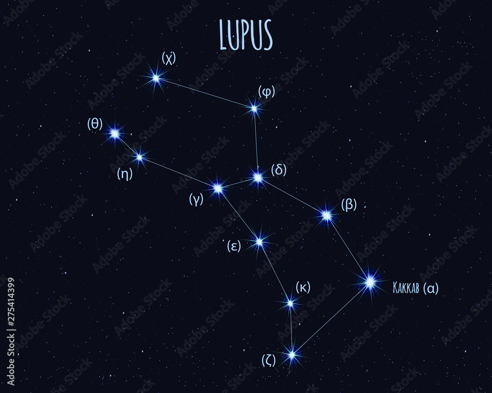 Lupus (The Wolf) constellation, vector illustration with basic stars ...