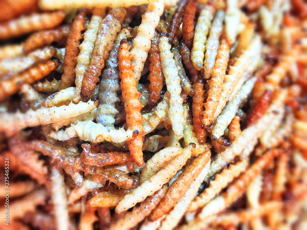 blur Fried or bake bamboo worm, pupae in Bamboo, eating insect culture ...