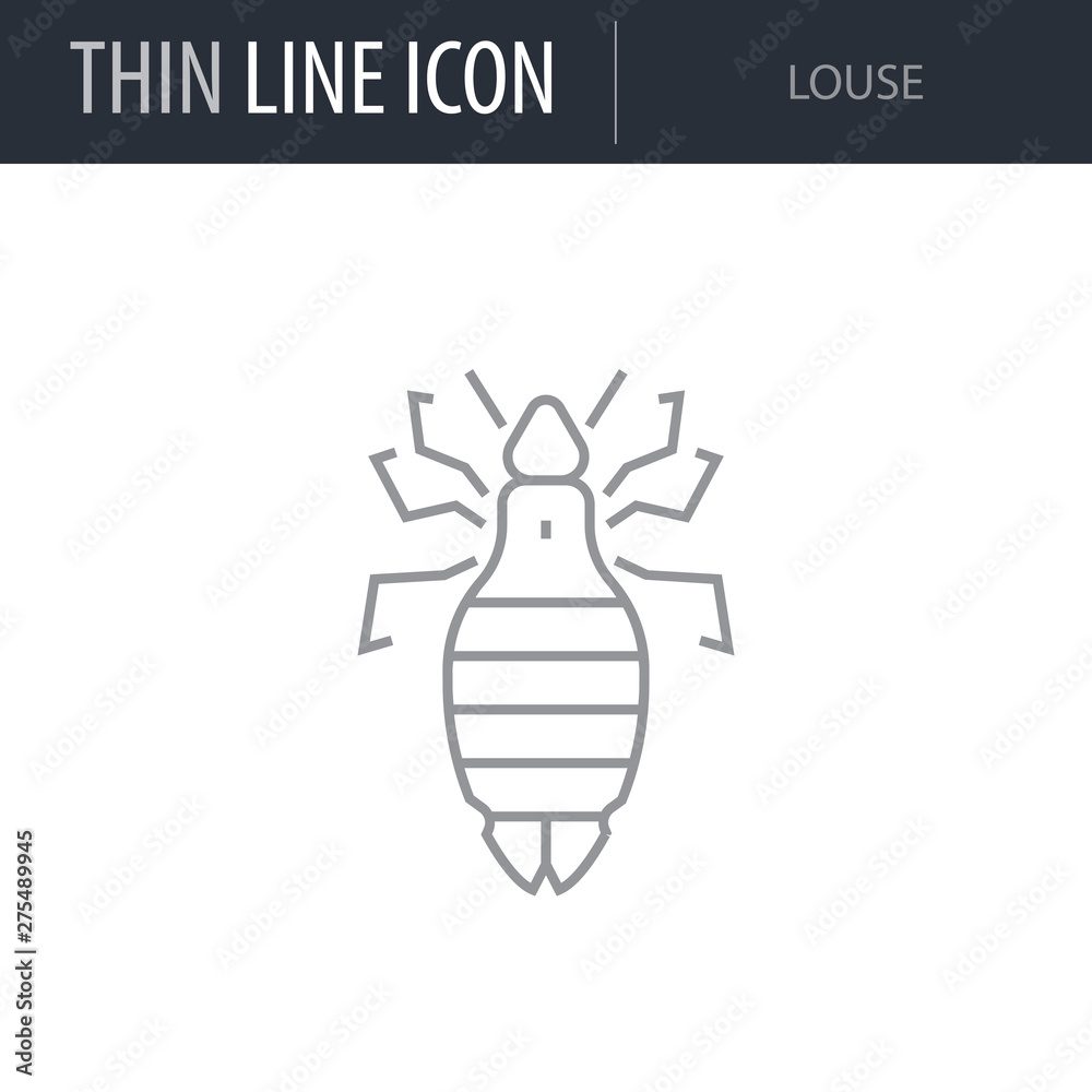 Symbol of Louse. Thin line Icon of Insect. Stroke Pictogram Graphic for ...