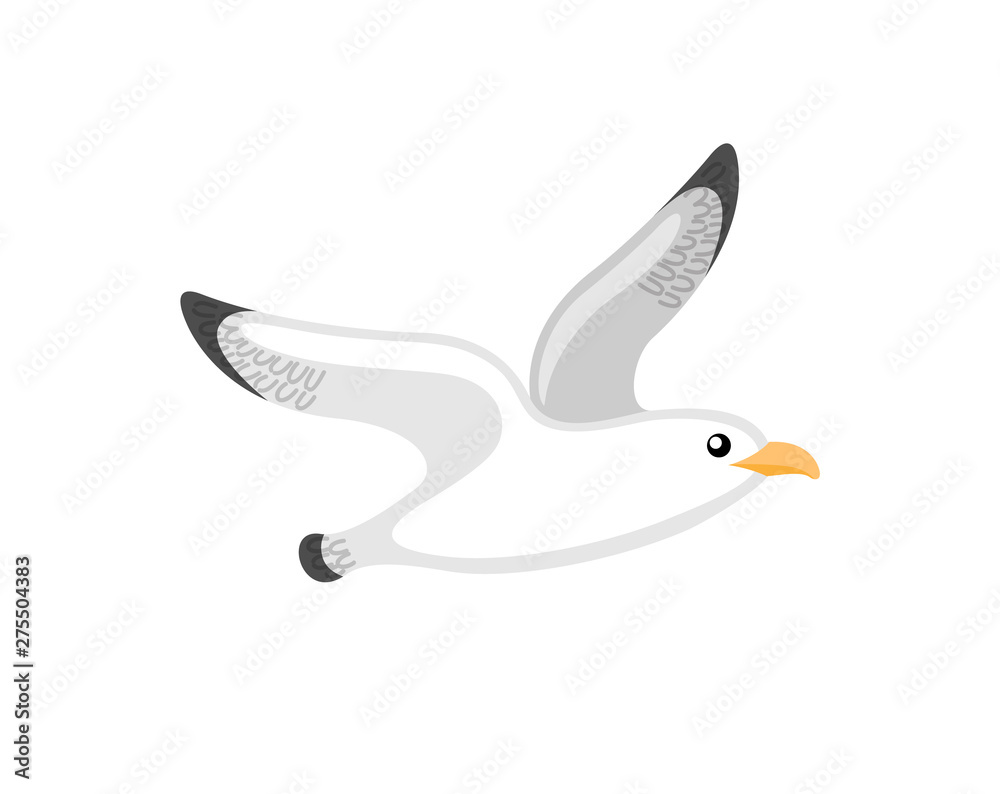 Flying seagull, little bird with black and white plumage. Single animal ...
