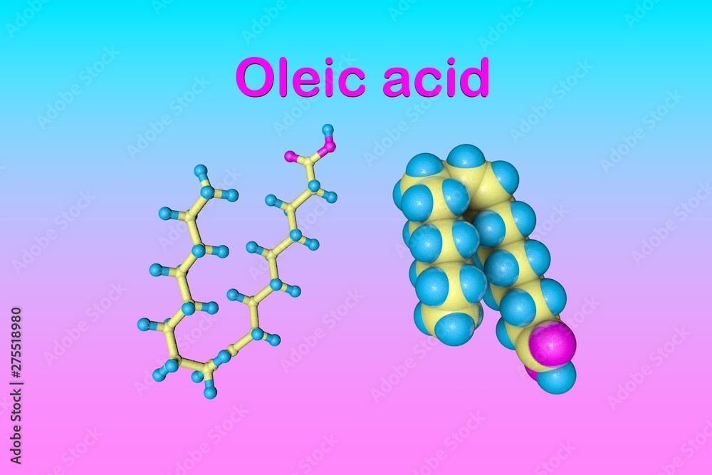 Molecular model of oleic acid. It is a monounsaturated fatty acid that ...