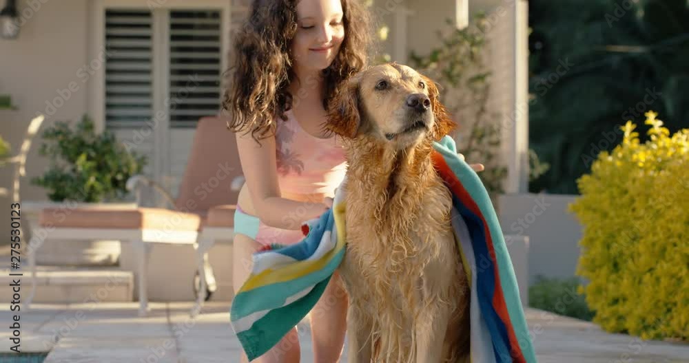 happy girl drying wet dog with towel after swimming in pool child ...