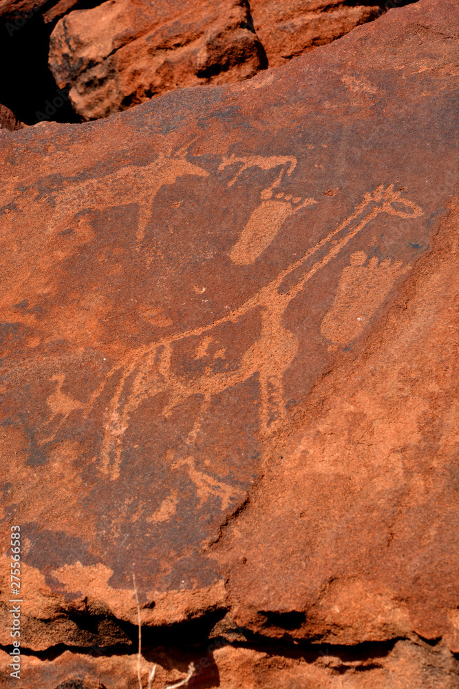 Petroglyphs in Twyfelfontein (Afrikaans: uncertain spring), officially ...