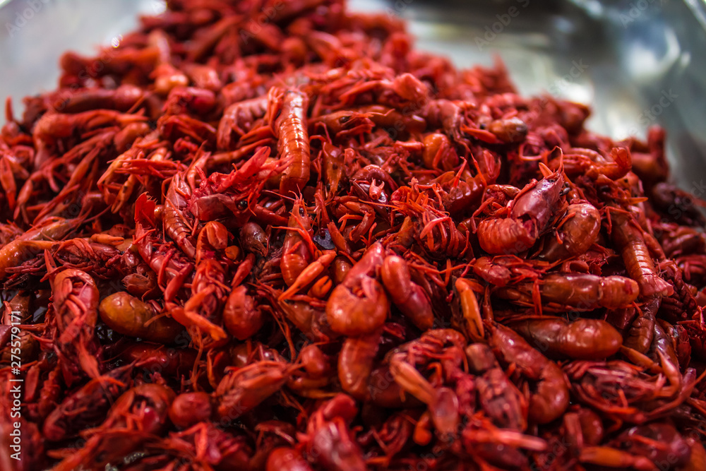 Insectos comida exotica en ciudad de mexico Stock Photo | Adobe Stock