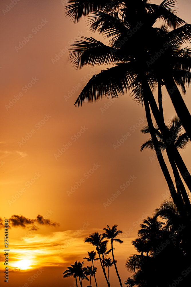 Naklejka egzotyczny raj niebo brzeg - Dekowizja.pl