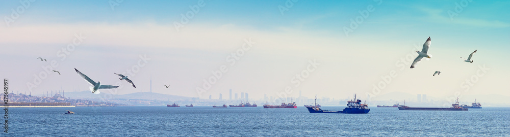 Marine navigation and sea traffic at the Bosphorus Strait. Wide ...