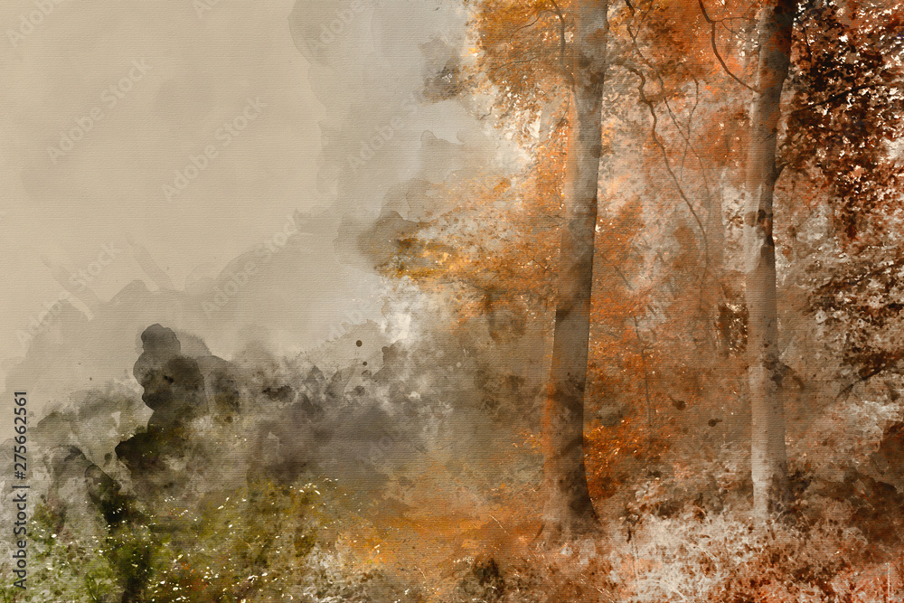Digital watercolor painting of Seasons changing from Summer into Autumn ...