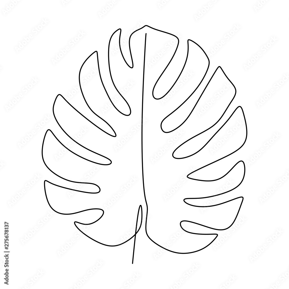 Monstera Leaf Graphic