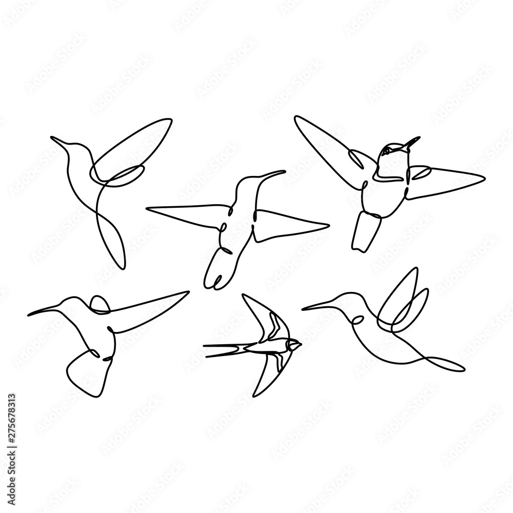 bird continuous line drawing set collections design on white background ...