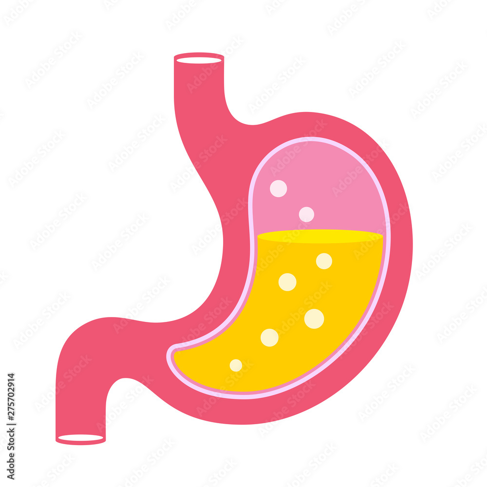 Stomach gas and acid vector cartoon Stock Vector | Adobe Stock