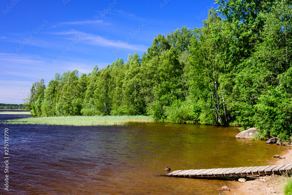 The picturesque shore of the lake, a beautiful summer landscape ...
