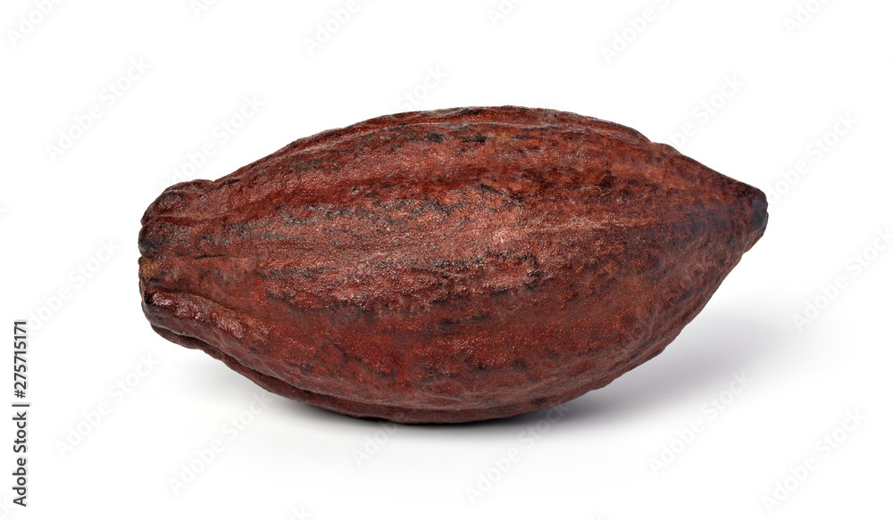 Cocoa pod on a white background Stock Photo | Adobe Stock