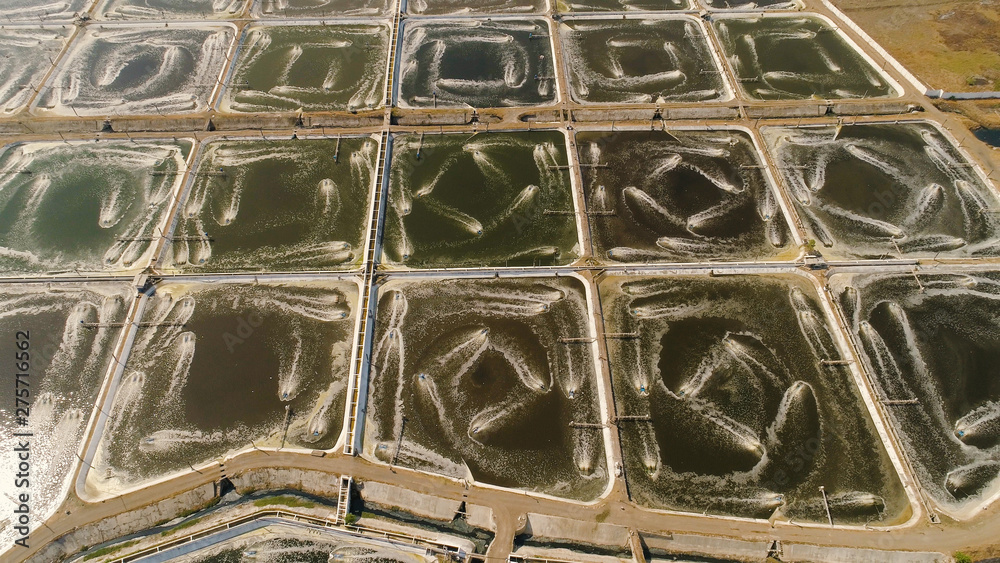 shrimp farm, prawn farming with with aerator pump oxygenation water ...