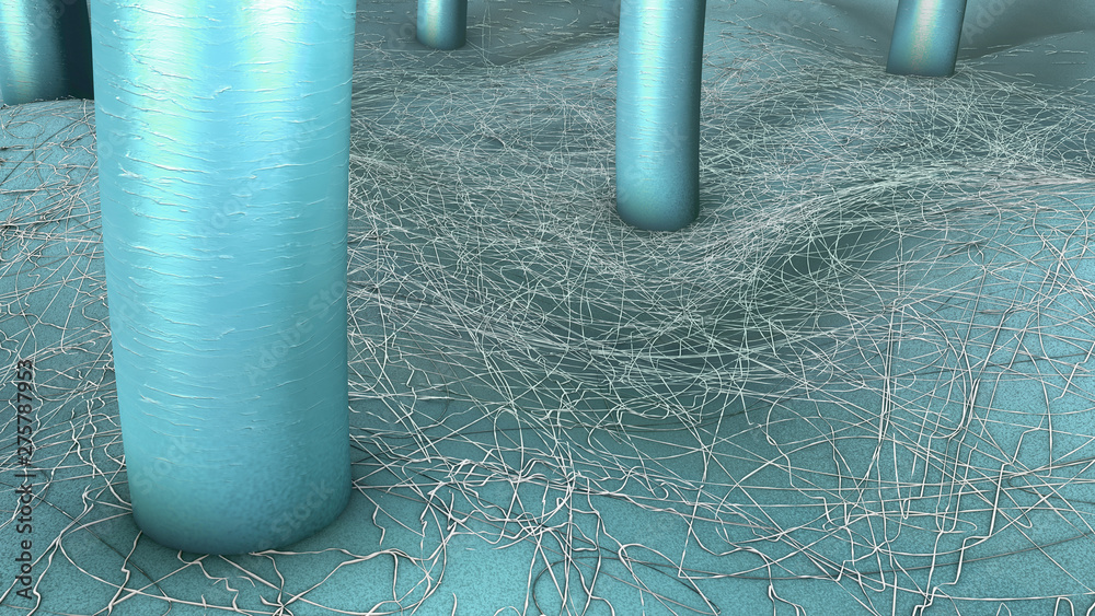 Microscopic close-up of a fungal infection of the upper skin layer ...