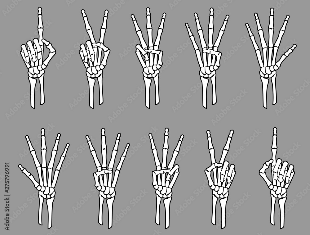 White Skeleton Number Hand Sign Stock Vector | Adobe Stock