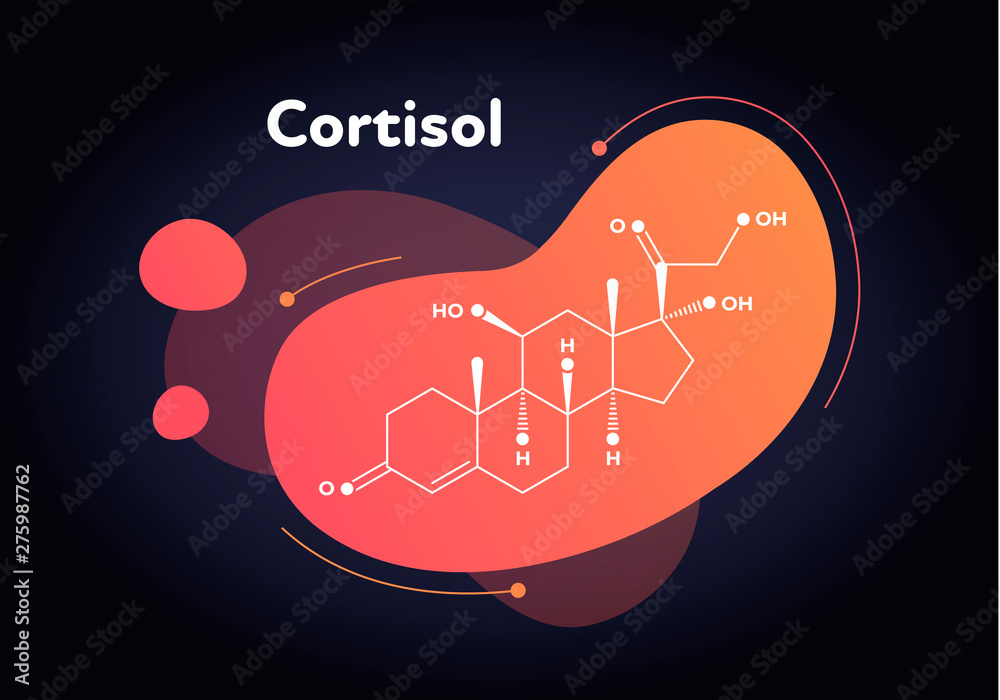 Vector hormones fluid modern banner. Cortisol structure in liquid ...