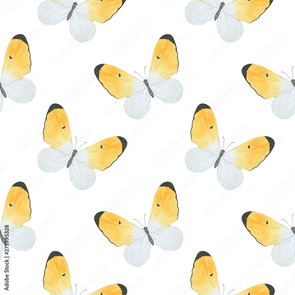 Seamless pattern Butterflies watercolor Illustration handmade design ...