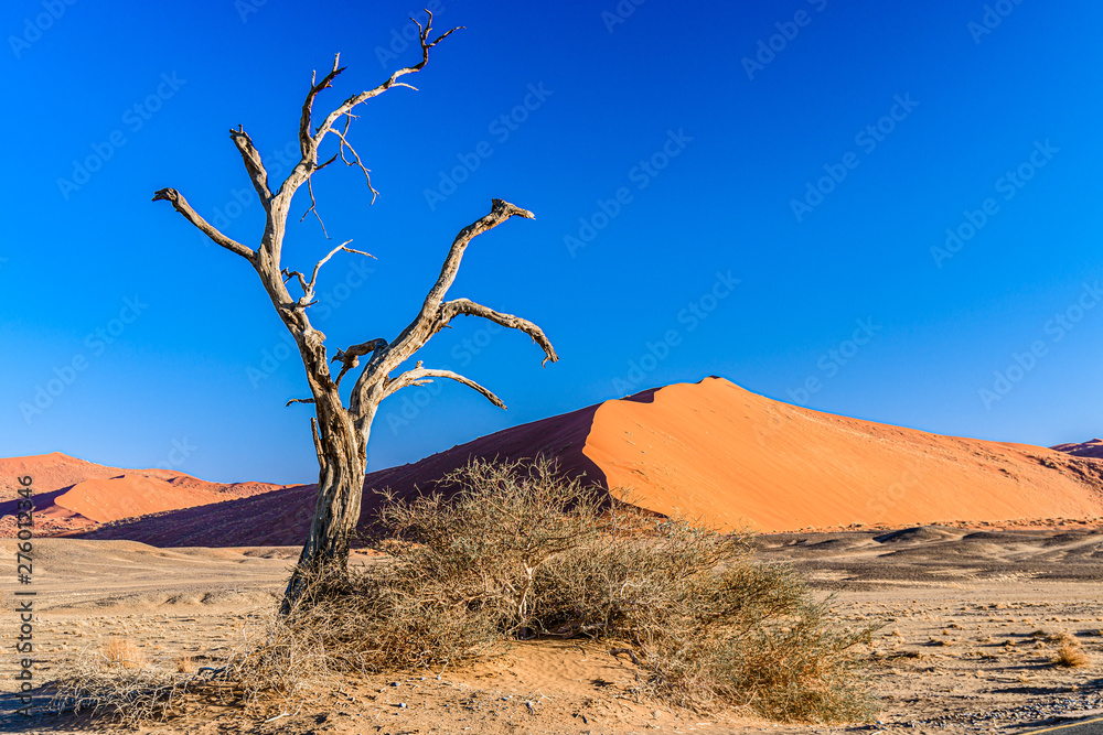 Dead tree in front of a sand dune on the approach to Sousesvlei, Namib ...