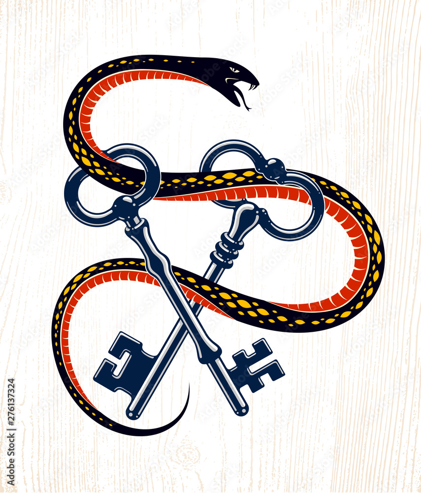 Snake wraps around vintage key, protected secret concept, turnkey and ...