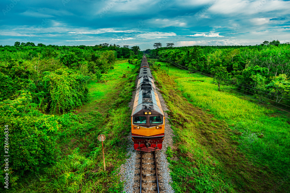 Train on railway transportation in forest and color of sunset Stock ...