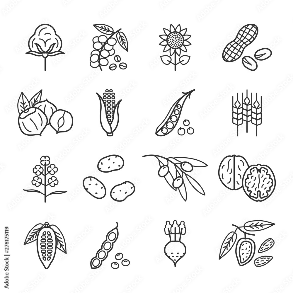 Agricultural commodities of vegetable origin linear icons set Stock ...