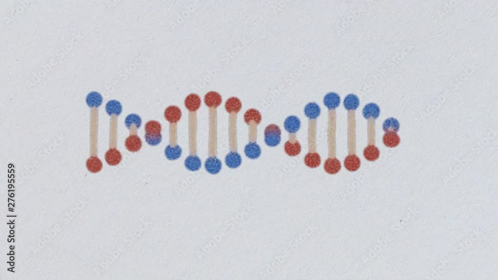 cartoon DNA pencill drawn spiral molecule rotating in space seamless ...