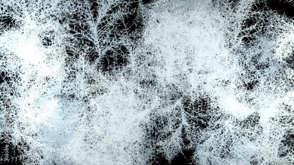 Beautiful freezing animation. Patterns of ice and frost spread to the ...