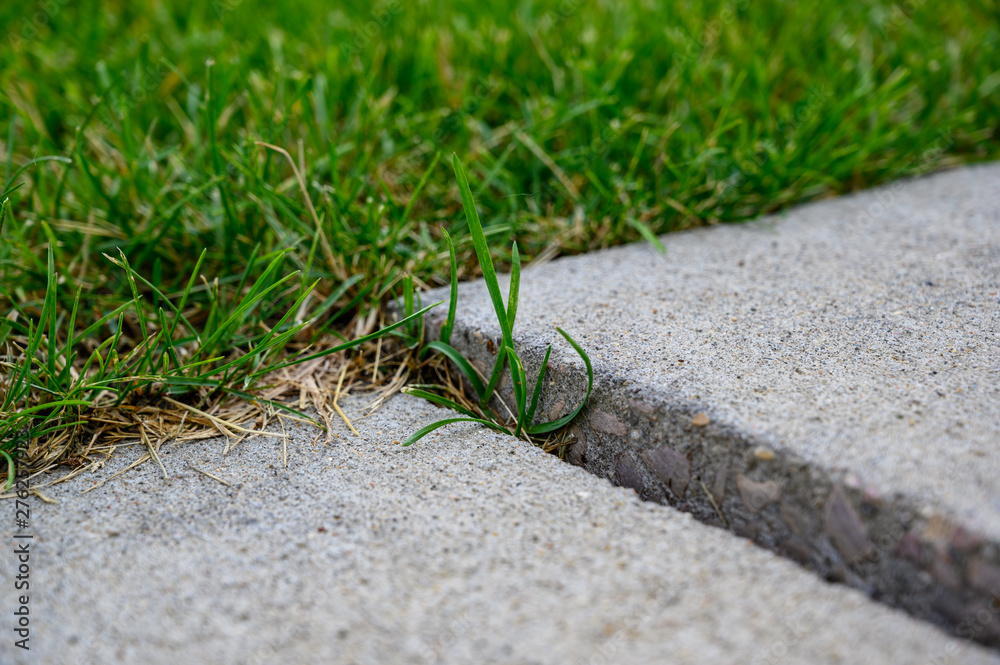 Frost heave crack in residential concrete sidewalk Stock Photo | Adobe ...