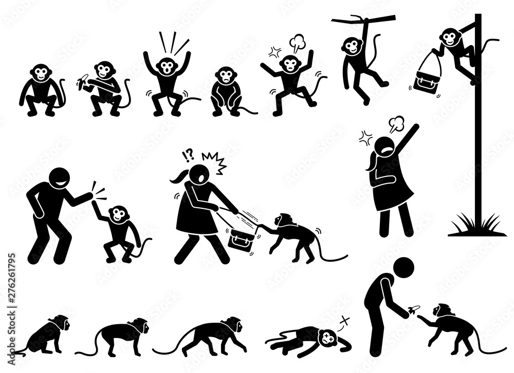 Human and monkey stick figure pictogram. Illustrations depict monkey ...
