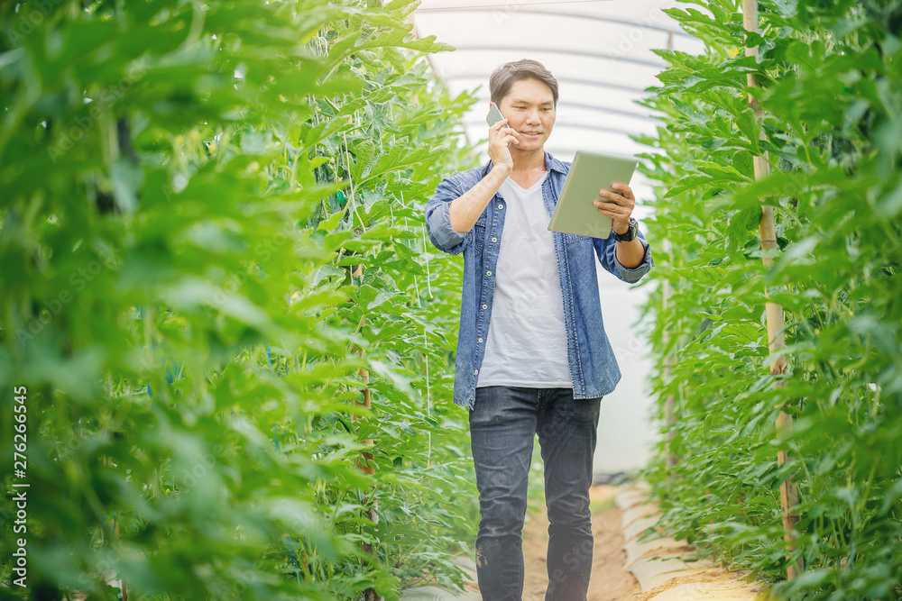 Farmer owner using smartpad in an agriculture field read a report for ...