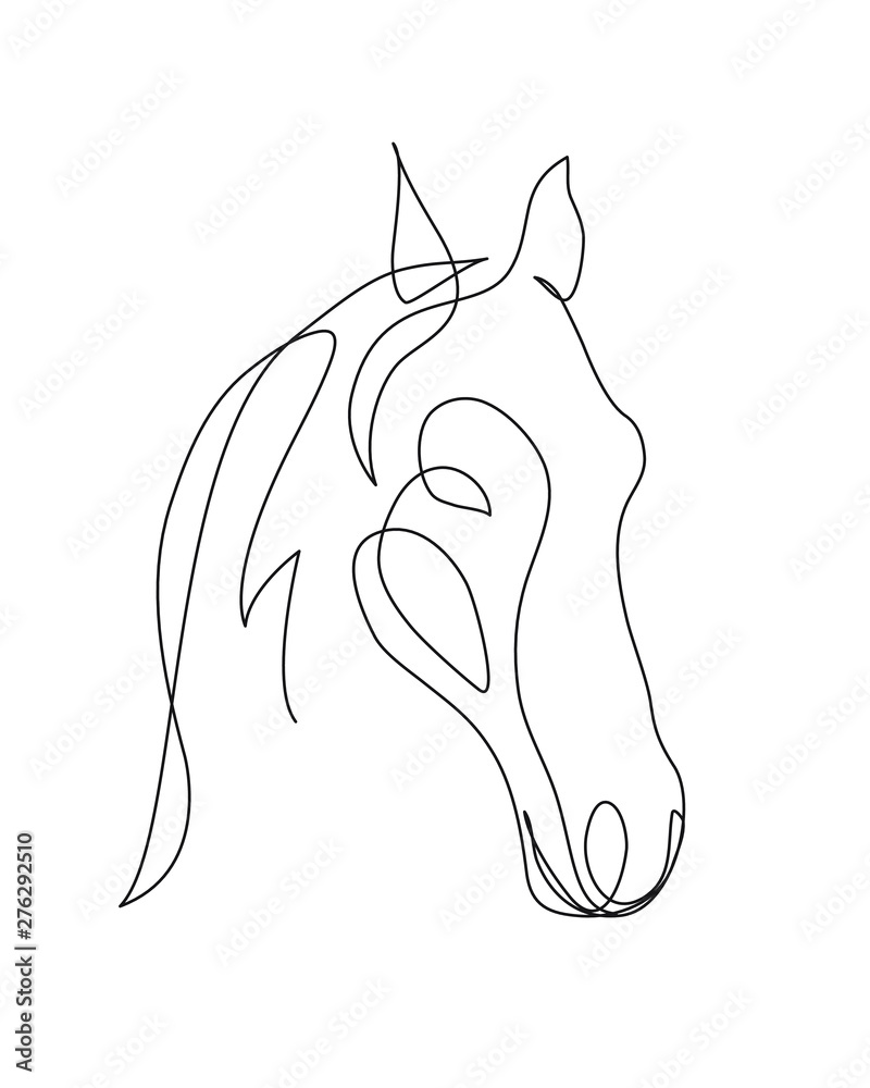 Horse Head Line Drawing
