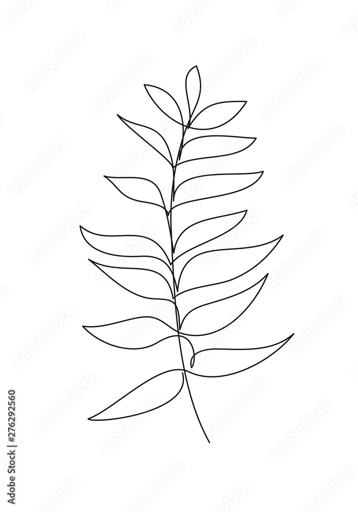 Abstract Leaf Drawings