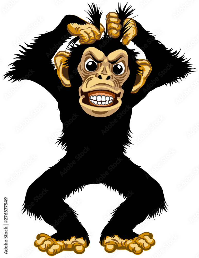 cartoon chimp or chimpanzee monkey pulls his fur hair out and showing ...