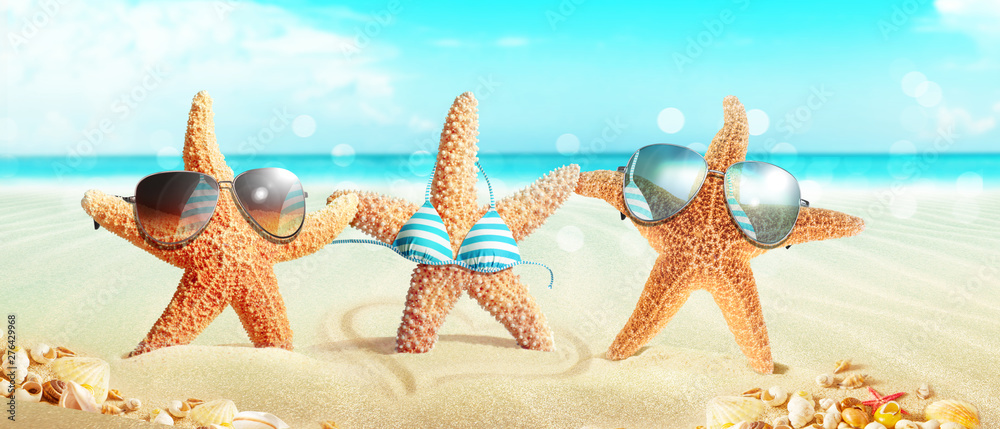 Strand Motiv mit Seestern und Muscheln Stock-Foto | Adobe Stock