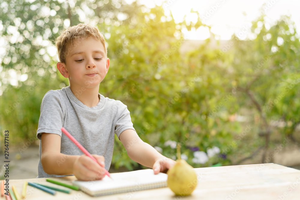 Cute boy draws with pencils still life. Open air. Garden in the ...