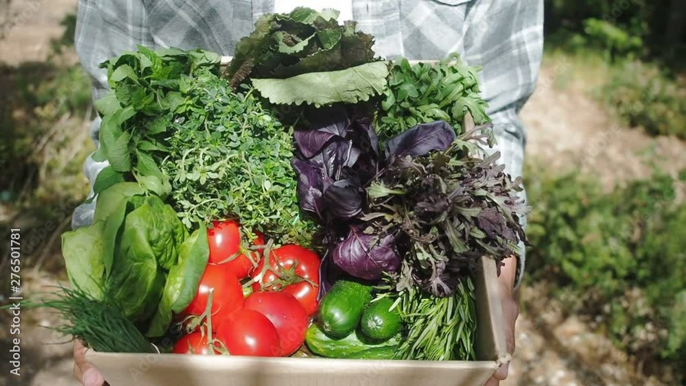 Delivery concept: courier man holding grocery cardboard box with fresh ...