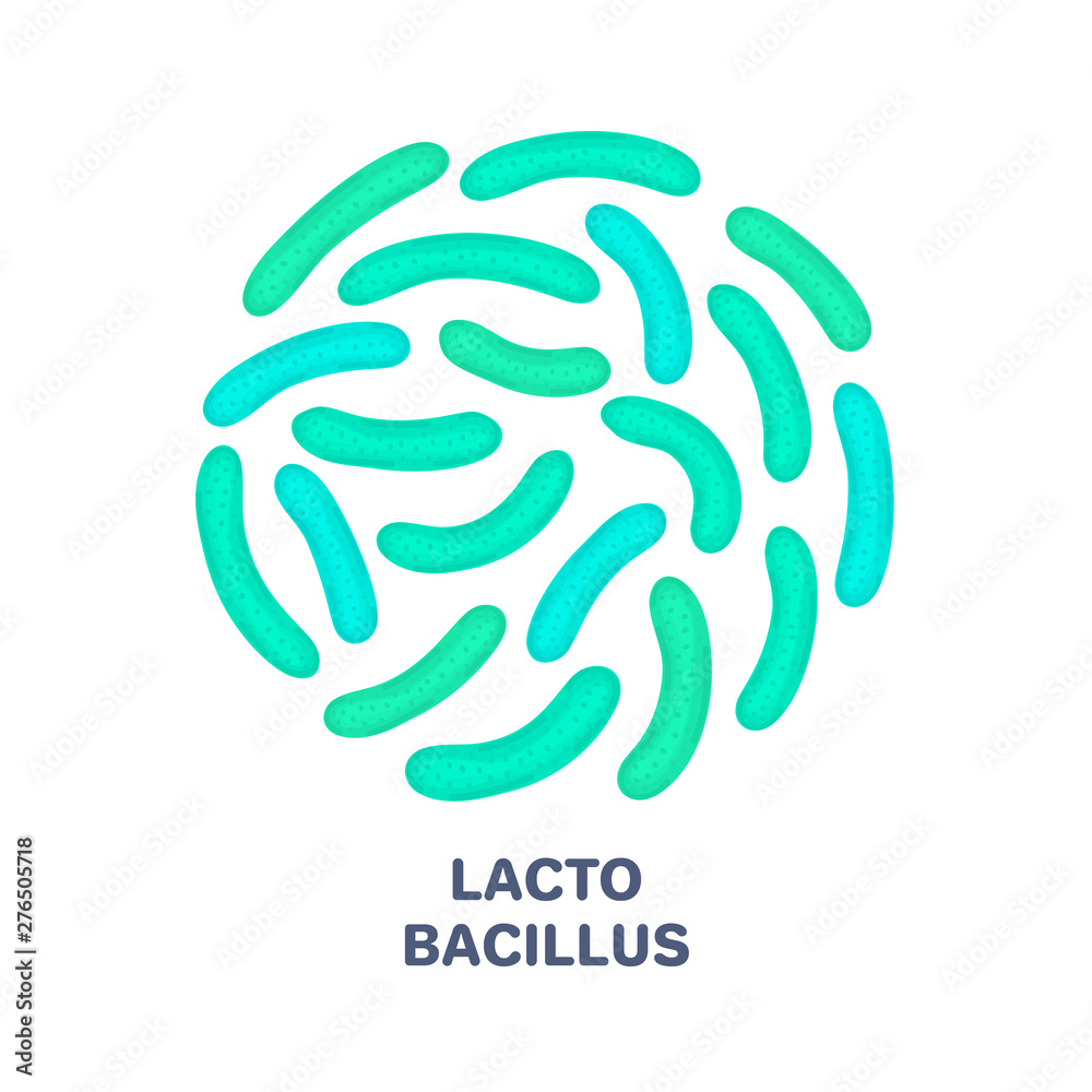 Vector probiotics in circular shape. Lactobacillus. Microbiome ...
